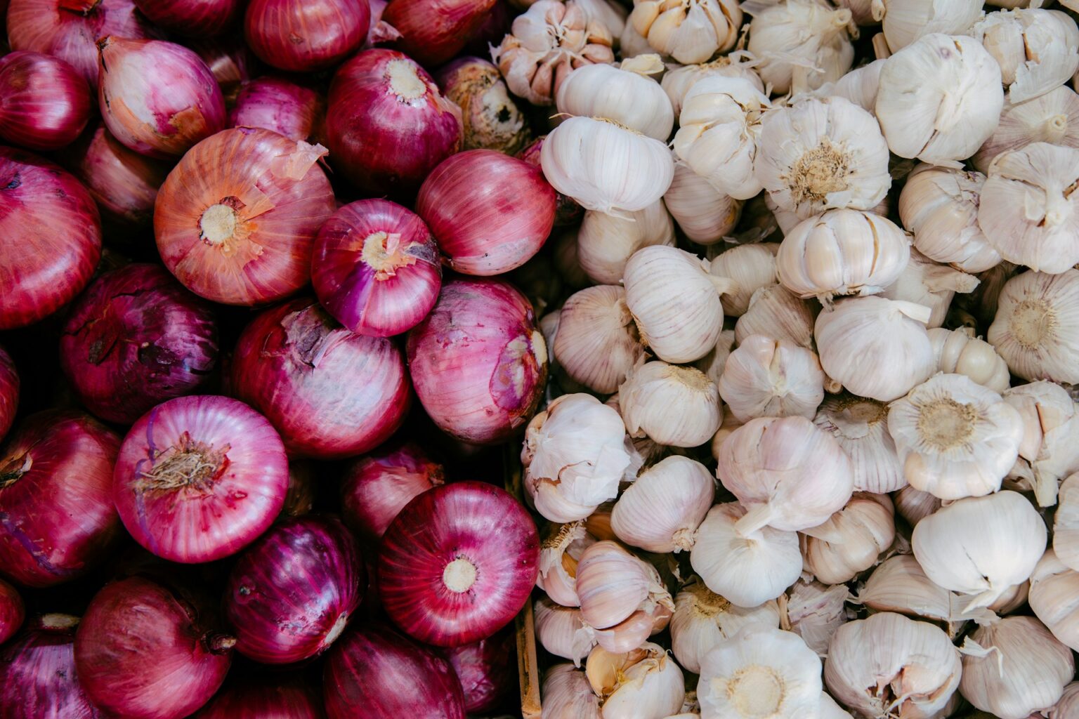 Gentle World — To Inspire The Vegan In Everyone